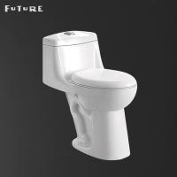 China CE Auto Operation Siphonic One Piece Toilet With S Trap Round Dual Flush Toilet for sale