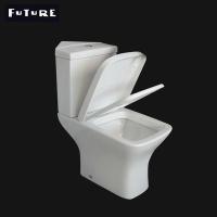 China Space saving Ideal Standard Close Coupled Toilet Washdown Water Closet ISO9001 for sale