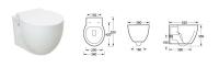China Mute Flushing One Piece Wall Hung Toilet Wall Hanging Toilet Auto Deodorization for sale