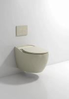 China Smooth Glazed Compact Wall Hung Toilet Gravity Flushing Auto Deodorization for sale