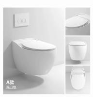 China Cistern Concealed Wall Hung Toilet Wall Mounted Wc ISO9001 Certified for sale