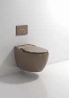China Aging Resistance Western Wall Mount Toilet Wall Hunging Commode  Space Saving for sale