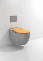 China Aging Resistance Western Wall Mount Toilet Wall Hunging Commode  Space Saving for sale