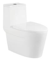 China Antibacterial Philippine Watercloset S Trap Toilet Siphonic Wc Single Flush 4L for sale
