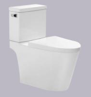 China Automatic Operation 2 Piece Toilet With S Trap Water Saving Design for sale