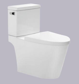 China Automatic Operation 2 Piece Toilet With S Trap Water Saving Design for sale