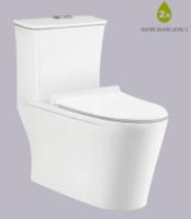 China Philippine 700x415x720mm Size S Trap  Siphonic Wc System Antibacterial for sale
