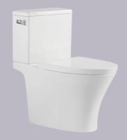China S Trap Two Piece Toilet Philippine Watercloset Washbasin 695*395*750mm for sale