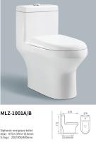 China Economic One Piece Water Closet Siphon Flushing Sanitaryware Products for sale