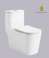 China High Efficiency Siphonic Washdown Water Closet  675*375*710mm Philippine Watercloset for sale