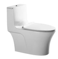 China FUTURE Auto Deodorization One Piece Water Closet Bathroom Sanitary Wares for sale