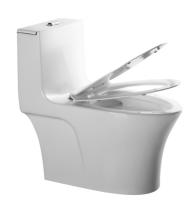 China FUTURE Auto Deodorization One Piece Water Closet Bathroom Sanitary Wares for sale