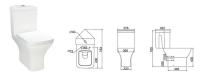 China Standard Size Dual Flush 4.5L/3L Toilet - Projection Toilet for B2B Buyers for sale