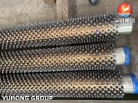 China ASTM A213 T9 Alloy Steel Seamless Tube with SS409 Studs, Studded Tube(Pin Tube) ,Fired heater, Furnace Application for sale