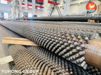 China Stainless Steel Seamless Pipe ASTM A312 TP317L with 11Cr Studded Tube , Fired Heater and Furnace Application for sale
