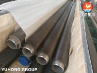 China ASTM A213 TP347H High Frequency Welding Fin Tube With SS409 11Cr Fin In Fired Heater for sale