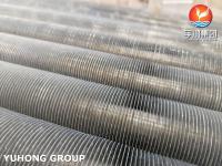 China A269 TP304 ASTM T Type Extruded Fin Tubes With AL Fin For Air Cooler Dryer for sale