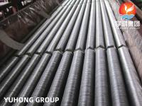 China ASTM A213 TP316L Wound With Aluminum 1060 Aluminum L Type Fin Tube , Air Cooler, Cooling Tower for sale