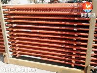 China Painted Seamless Steel ASME SA213 TP304 H Type Square Tube For Seawater Desalination for sale
