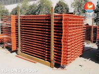 China H Type Tube Finning Seamless Steel ASME SA213 TP317 Boiler Pressure Parts For Economizer for sale
