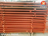 China H Type Tube Finning Seamless Steel ASME SA213 TP317 Boiler Pressure Parts For Economizer for sale