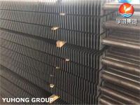 China SA213 TP316 ASME H Type Boiler Fin Tube Economizer For Waste Heat Energy Industrial for sale