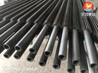 China Petrochemical Industry Longitudinal Finned Tube ASTM A312 TP316L With Stainless Steel Fin for sale