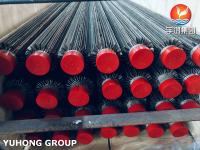 China ASME SA213 ASTM A213 TP316L Longitudinal Finned Tube With SS316L Fin Strip for sale