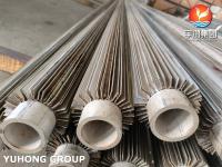 China A213 TP316L Welding Longitudinal Finned Tube Manufacturers For Heat Exchanger And Boiler for sale
