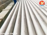 China Stainless Steel Heat Exchanger Tube, ASTM A213 TP304L (1.4307, SUS304L,03Х18Н11) for sale