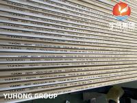 China Heat Exchanger Tube ASTM A312 TP310S Stainless Steel Condenser for sale
