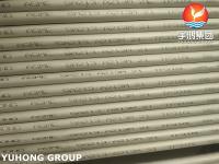 China ASME SA213 TP316L Stainless Steel Seamless Heat Exchanger Tube For Power Generation for sale