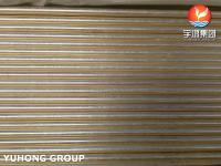 China Heat Exchanger Tube ASTM B111 C44300 SMLS Tube for sale