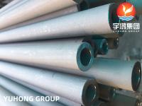 China Stainless Steel Boiler Tube, ASME SA213 TP316H, Super Heater Boiler Application for sale