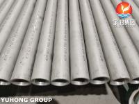 China TP321 ASME SA213 Stainless Steel Seamless Tube For Boiler High Temperature Service for sale