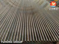 China ASME SA179 Carbon Steel Boiler Tube For Boilers , Petrochemical for sale