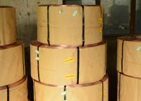 China High Carbon Copper Coated Steel Wire 45#  55# 70# SWRH72A SWRH80 for sale