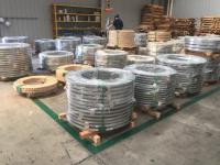 China Stainless X65Cr13 Cold Rolled Steel Strip 1.4037 Stainless Steel Coil for sale