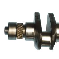China 161560020029 Sinotruk HOWO WD615 Engine Truck Parts Crankshaft for sale