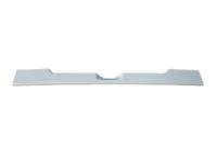 China OEM Fit for SITRAK Trucks 810W41610-5573 Cover for the Middle Part of the Bumper Sitrak (plastic) for sale