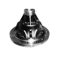 China High-quality OEM Interwheel Differential Assembly WG7117328025-1 for HOWO for sale
