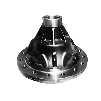 China High-quality OEM Interwheel Differential Assembly WG7117328025-1 for HOWO for sale