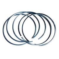 China 202V02503-0854 Oil Ring Piston Rings Conical ring for SINOTRUK HOWO MAN MT13 Engine Spare Parts for sale
