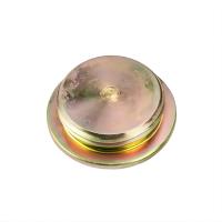 China 81.90310.0198 Engine Thread plugging For Shacman Truck Parts for sale