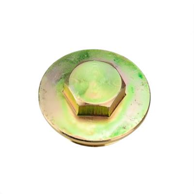 China 81.90310.0198 Engine Thread plugging For Shacman Truck Parts for sale