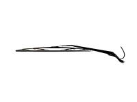 China P22505250040 Shacman Truck Parts Right Wiper Arm and Blade Assembly for sale