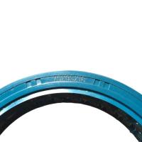 China HD95129320010 Main Reducer Oil Seal For SHACMAN Truck Parts for sale