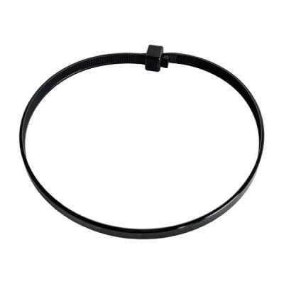 China 190003171392 Plastic Fastening Strap For SHACMAN Heavy Truck Spare Parts for sale