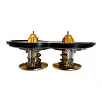 China Dual Valve Engine Thermostat 725510 1849060 1800909 Maintain Balanced Temperature Under Heavy Load Operation for sale
