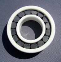 China Full Cylindrical Ceramic Roller Bearings Si3N4 SSiC ZrO2 for sale